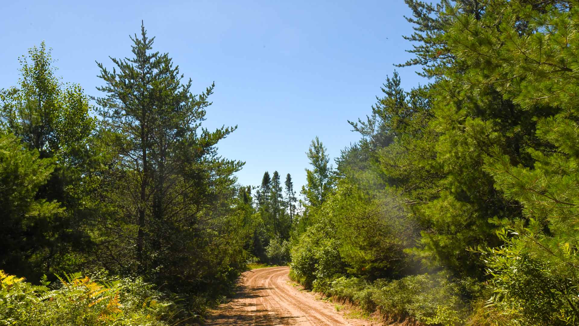 Heart Lake Trail - Eagle River Area Chamber of Commerce